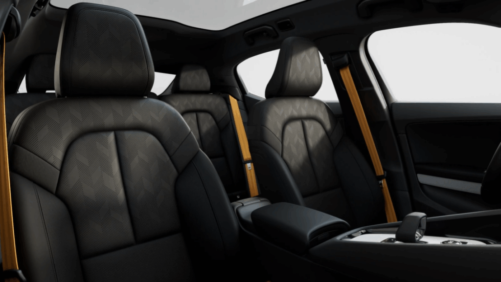 Polestar 2 | Holden Group